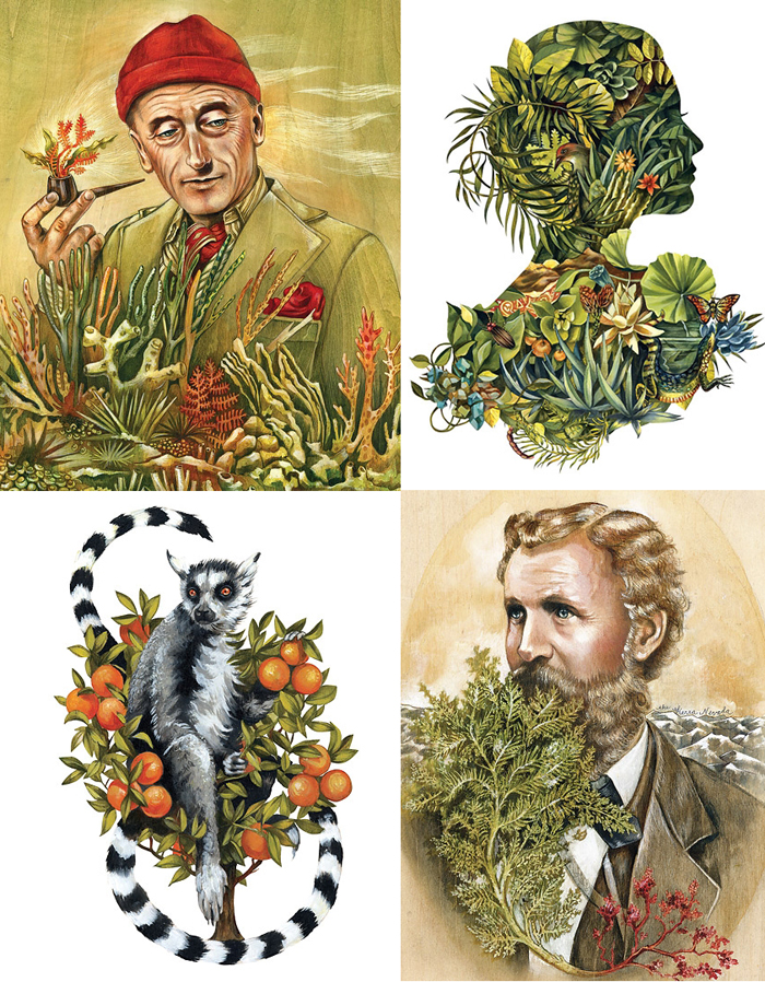 | Lisel Jane Ashlock, Floral Notes and PortraitsILLUSTRATION AGE