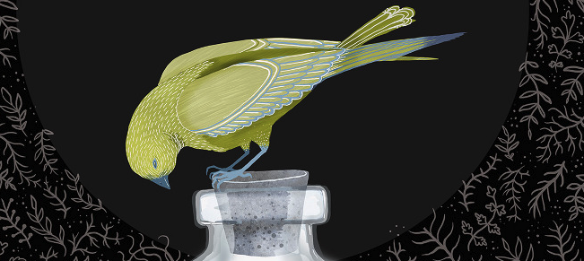 | Beautiful Images by Lisa PerrinILLUSTRATION AGE